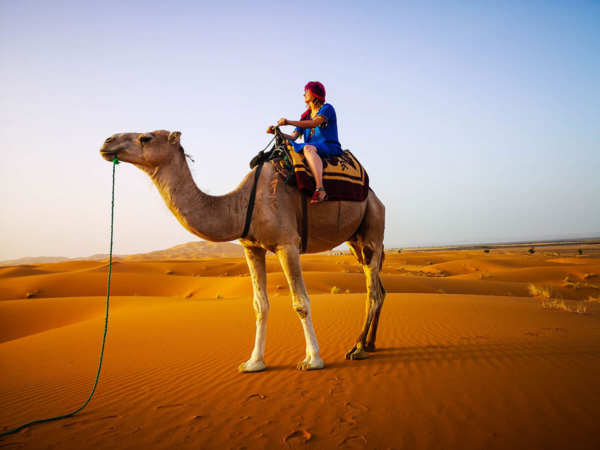 How to Ride a Camel: A Step-by-Step Guide - Touring In Morocco